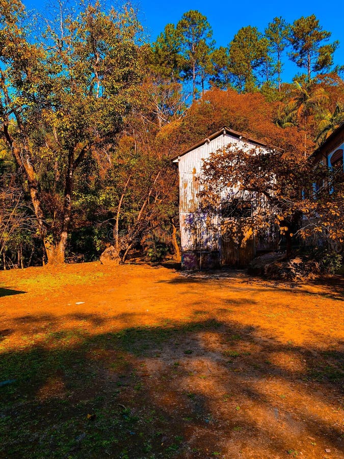 Rustic House in the Autumn Forest Stock Image - Image of blue ...