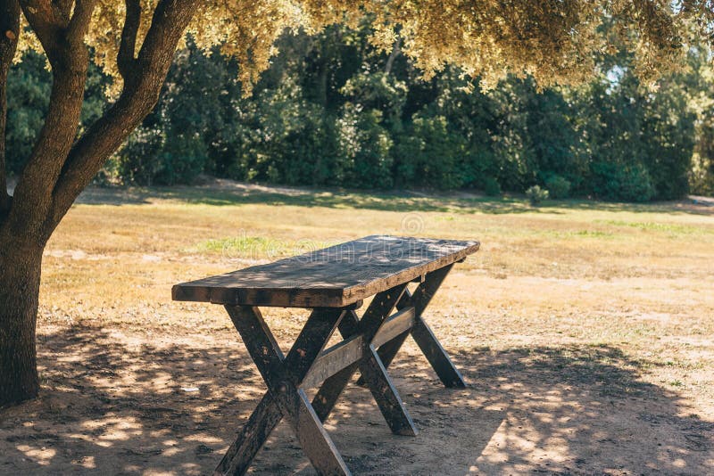 Rustic Idyll - an Old Wooden Table Under a Tree in the Garden Stock ...