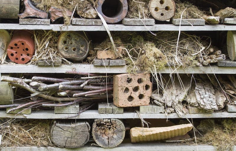 Bug or Insect House stock image. Image of watering, brick - 32540437