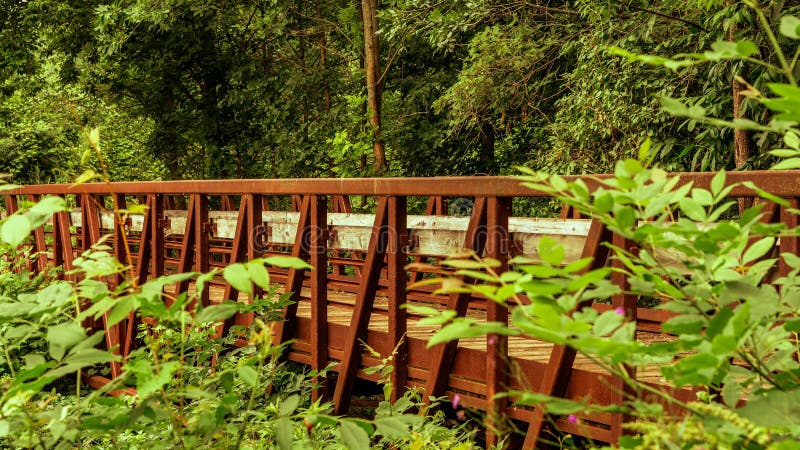 Rustic Iron Bridge Surrounded by Lush Green Foliage in a Tranquil ...