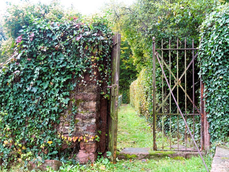 Rustic Iron Gate in Lush Garden Stock Image - Image of vintage ...