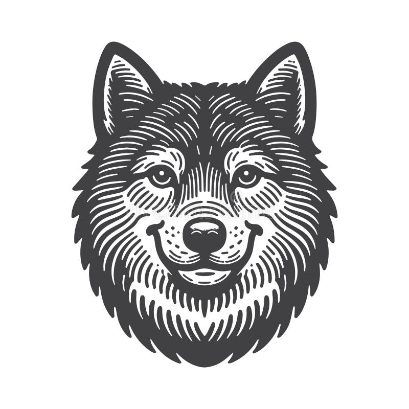 Wolf Head Drawing Stock Illustrations – 20,890 Wolf Head Drawing Stock ...