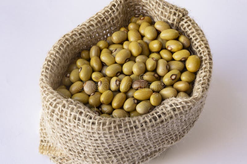Rustic Jute Sack with Green Ball Beans Stock Image - Image of seed ...