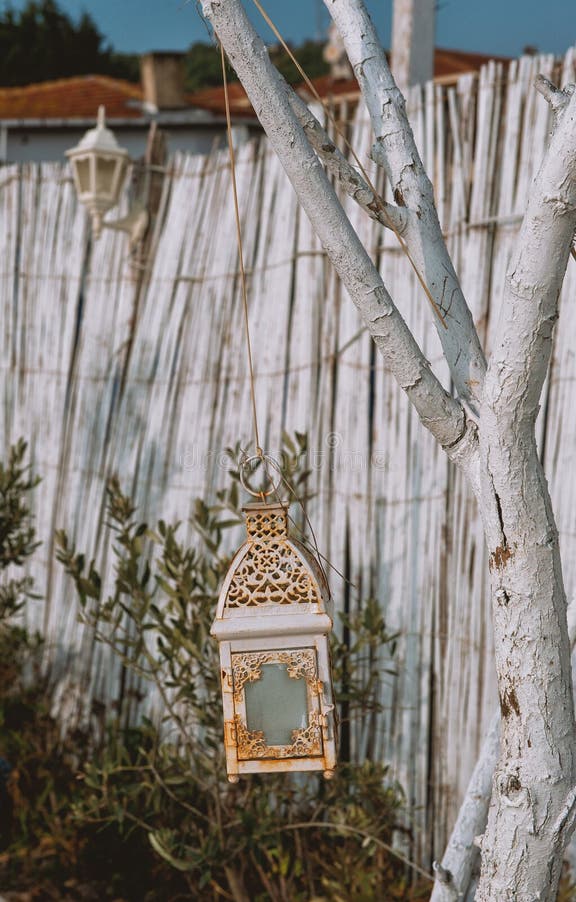 Rustic Lantern Hangs on a Whitewashed Tree Stock Image - Image of metal ...