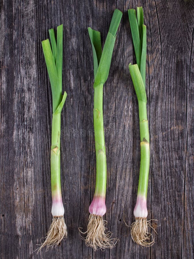 Rustic leek stock image. Image of closeup, diet, leek - 52034491
