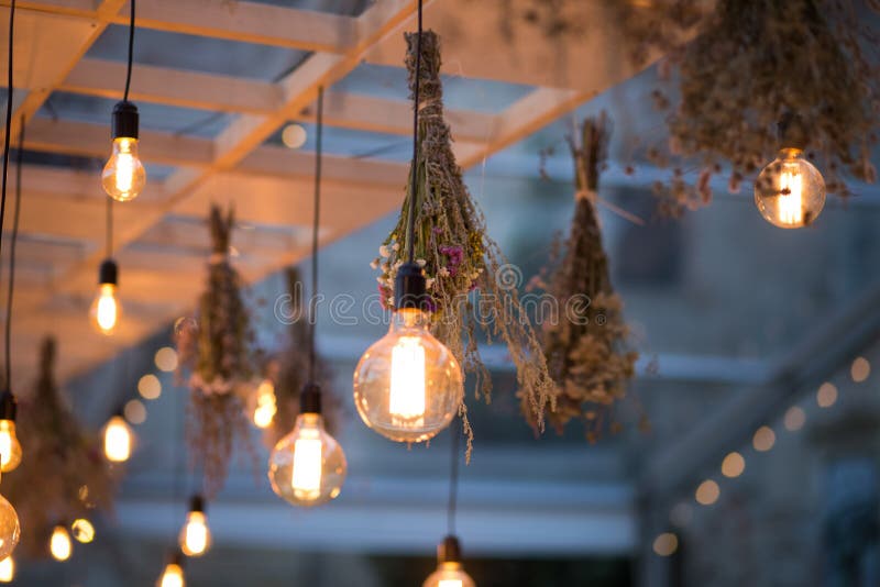 Rustic Light Bulb Garden Lights Stock Image - Image of background ...