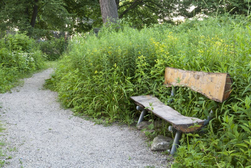 A Rustic Log Bench on a Winding Grassy Path Stock Image - Image of ...