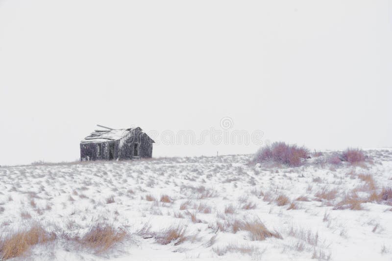 Rustic Log Cabin in the Winter Stock Photo - Image of luxury, interior ...