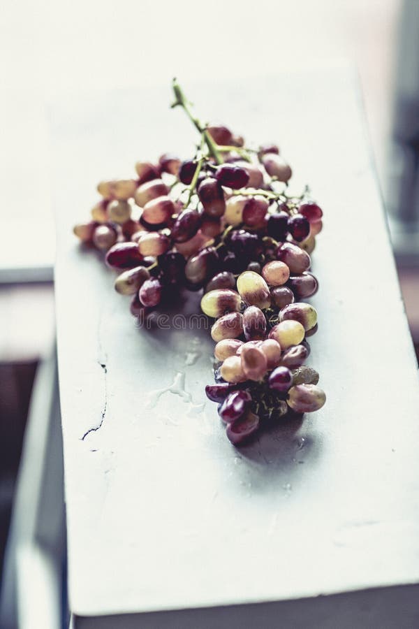 Rustic Looking Bunch of Grapes Stock Photo - Image of cluster, plant ...