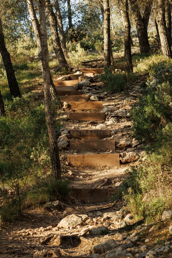 Rustic Man-made Staircase in the Forest on a Hiking Trail Stock Photo ...