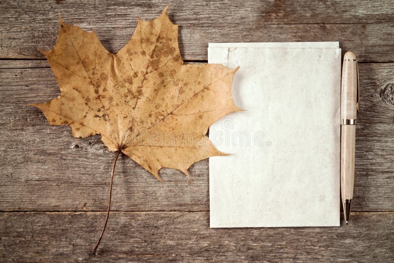 Rustic Maple Leaf and Blank Paper Stock Photo - Image of fall ...