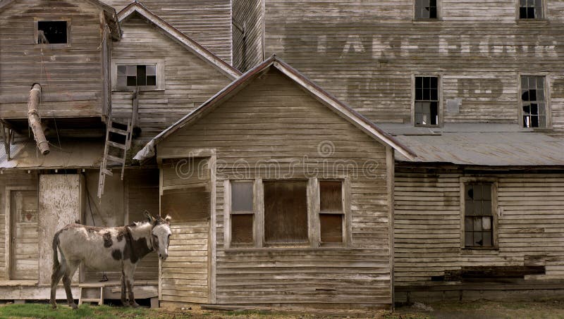 Rustic Mill stock photo. Image of background, architecture - 1239296