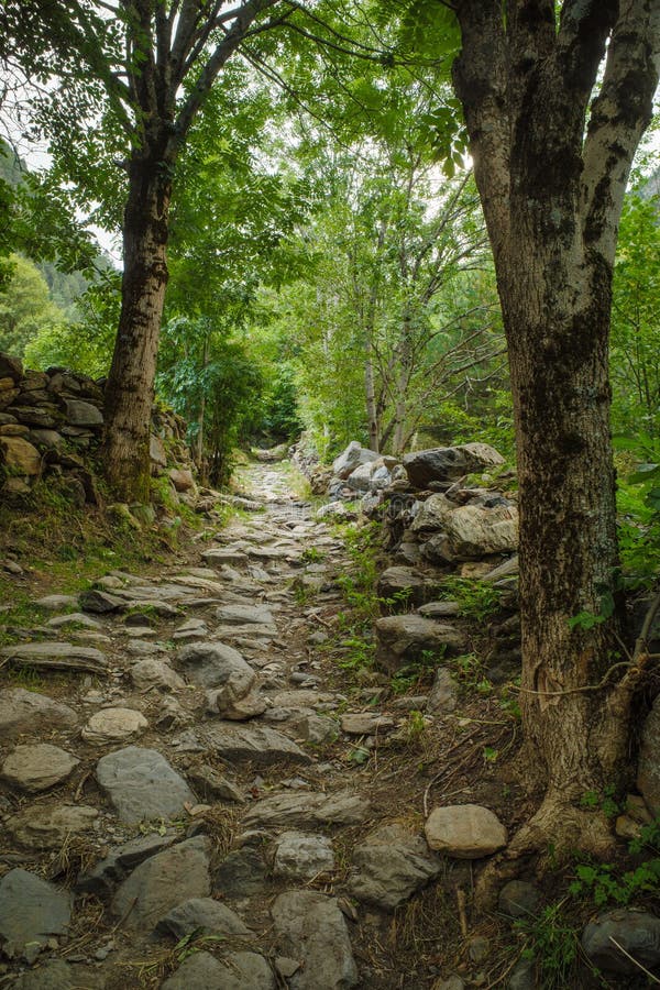 Rustic Mountain Cabin with Scenic Alpine View Stock Image - Image of ...