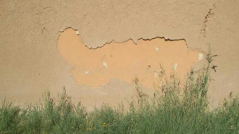 Rustic Mud Wall with Dry Grass and Subtle Yellow Texture for Background ...