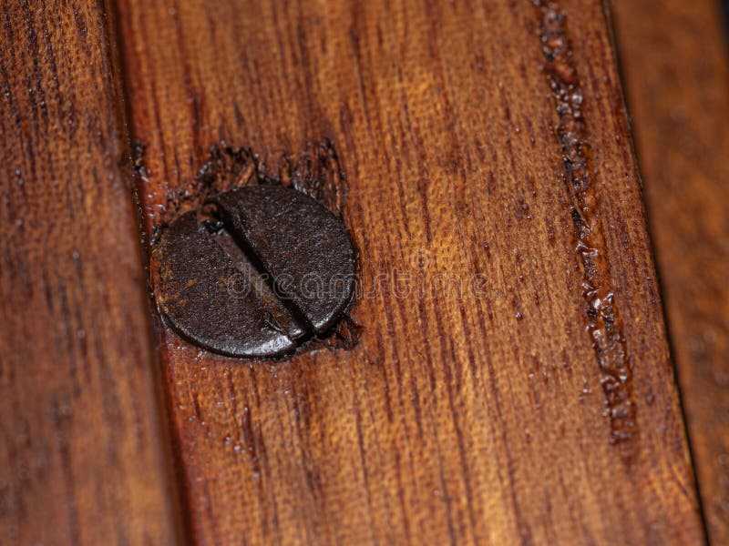 Rustic Nail Embedded in Weathered Wood, Its Aged Surface Telling a ...