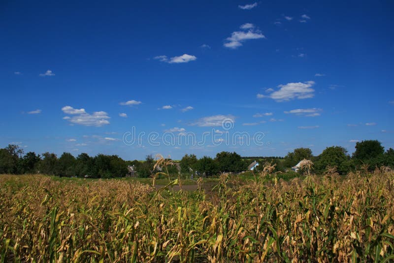 Rustic nature stock photo. Image of houses, nature, beautiful - 58373456
