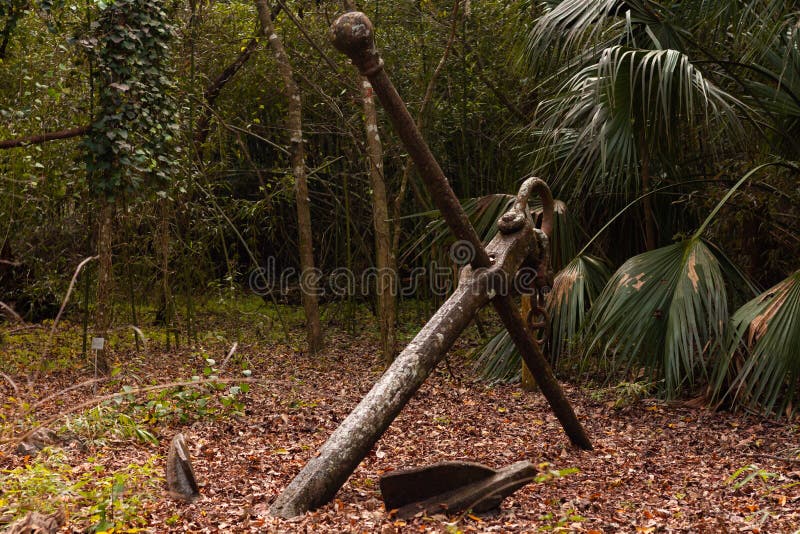 Rustic Old Anchor in Ground Stock Image - Image of green, forest: 174740061