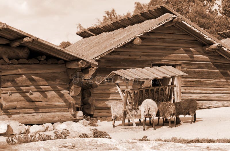 Rustic Old Log Farm Buildings Stock Photo - Image of eating, barns: 3105526