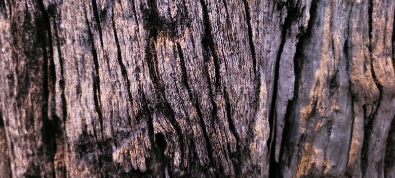 Rustic Old Wooden Log with Texture Stock Photo - Image of background ...