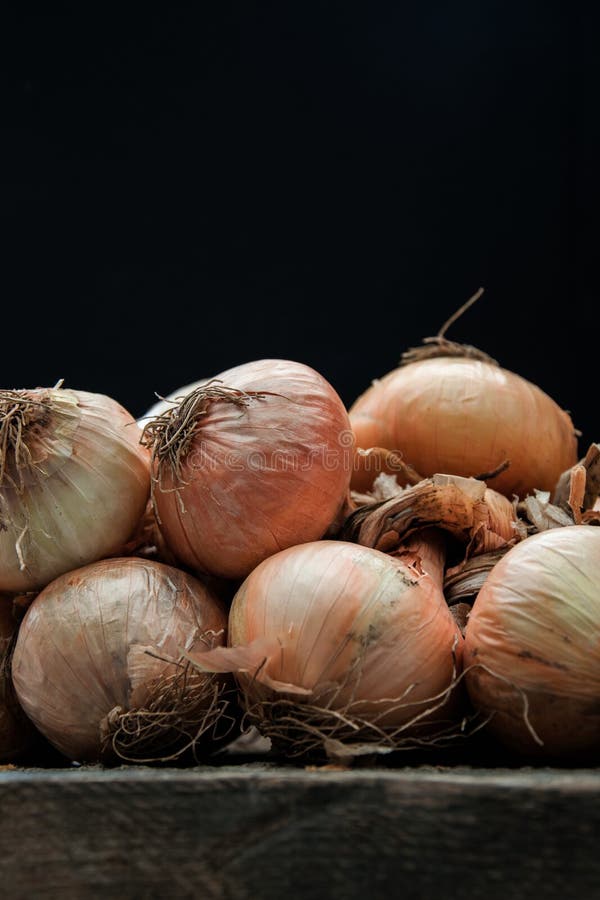 Rustic onions on the table stock image. Image of bunch - 104430257