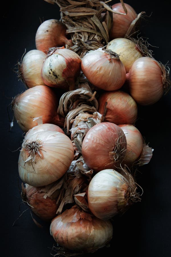 Rustic onions on the table stock photo. Image of isolated - 104430712