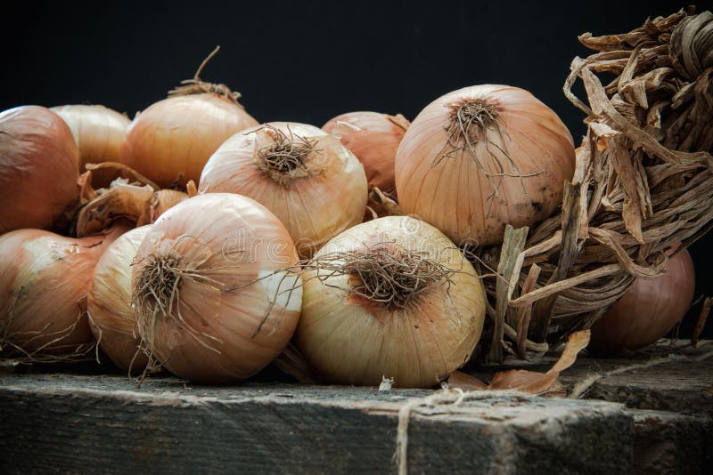 Onions on the Table, Ingredients Stock Image - Image of group, natural ...