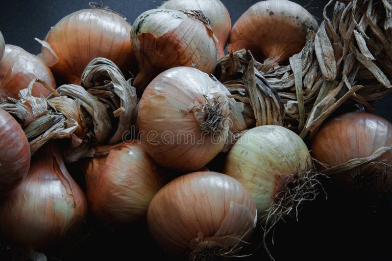 Rustic onions on the table stock photo. Image of bunch - 104430546