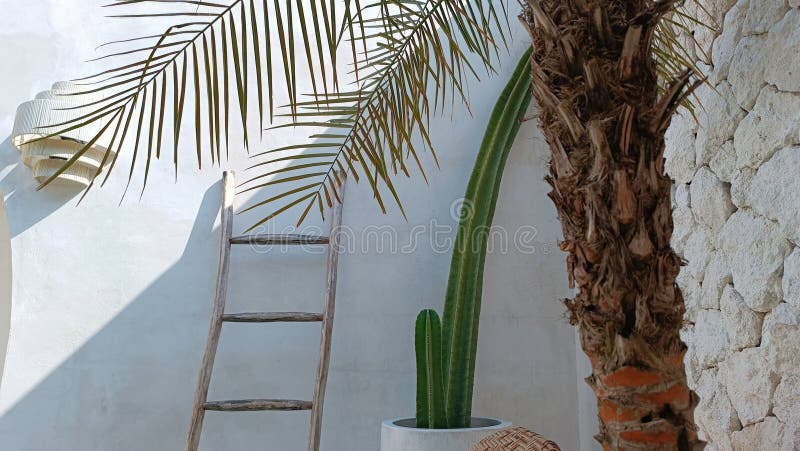 Rustic Outdoor Oasis with Palm Trees and Ladder Decor Stock Photo ...