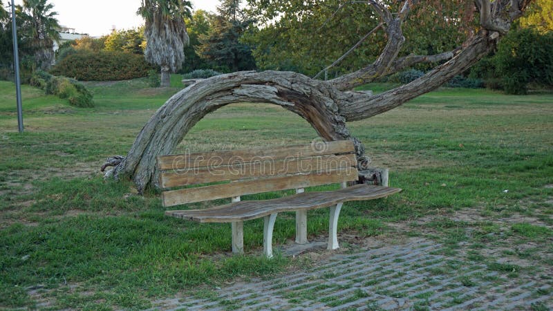 Rustic Park Bench in a Park in Lisbon Stock Photo - Image of nature ...