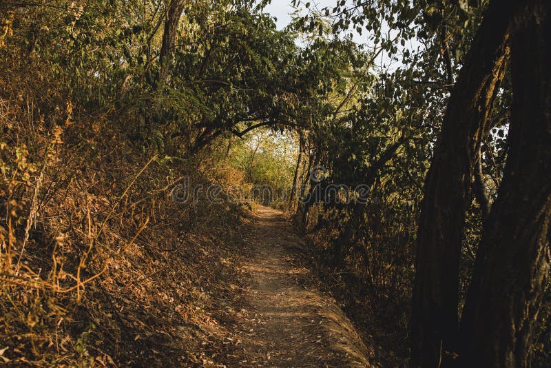 Rustic Park Outdoor Autumn Trail Nature Environment Stock Image - Image ...