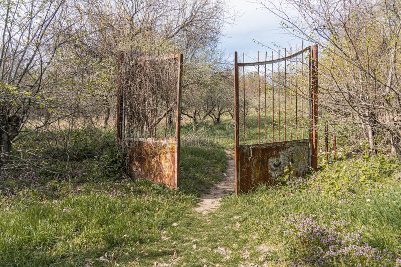 Rustic, Partly Cloudy Scene with Two Gates and a Dirt Path Leading into ...