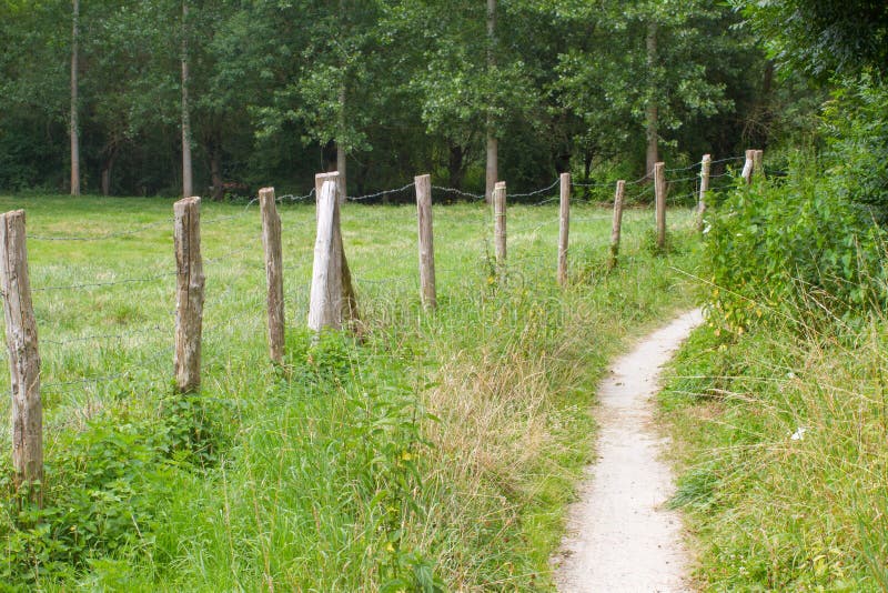 Rustic Pathway To Walk through Fields, Meadows and Woods Stock Photo ...