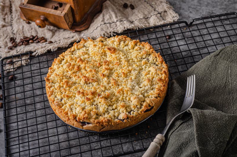 Rustic Pie with Forest Fruit Stock Image - Image of meat, pastry: 174116421