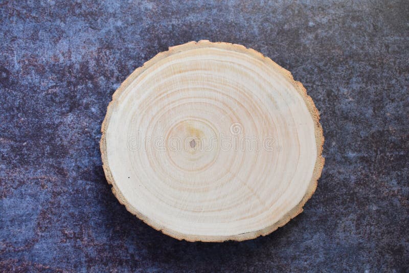 Rustic Pine Wood Round Cut Tree Stump Stock Photo - Image of object ...