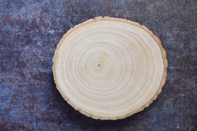 Rustic Pine Wood Round Tree Stump Stock Image - Image of tree, rustic ...