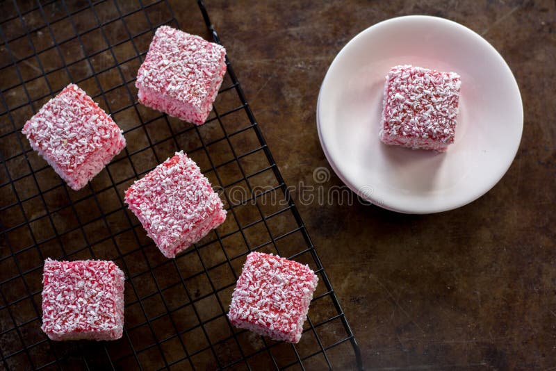 Pink Lamingtons - Selective Focus Horizontal Stock Image - Image of ...
