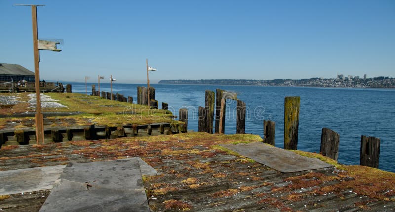 Rustic Plover Ferry Pier at Semiahmoo Bay Stock Image - Image of point ...