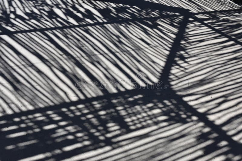 Rustic Pole Shadow on Concrete Stock Image - Image of botanical, grille ...