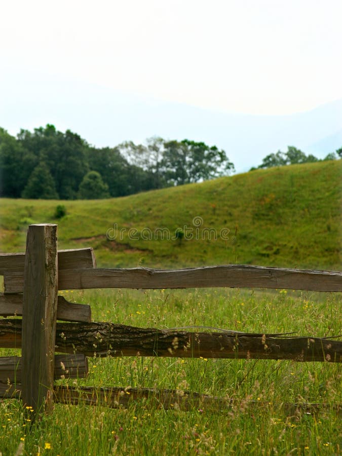 Morning pasture stock photo. Image of open, meadow, environment - 3118862