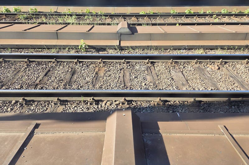 Rustic Railroad Tracks and Vegetation at Train Station Commute Stock ...