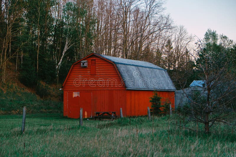 Rustic Red Barn Sits in a Lush Meadow Surrounded by Trees, Illuminated ...