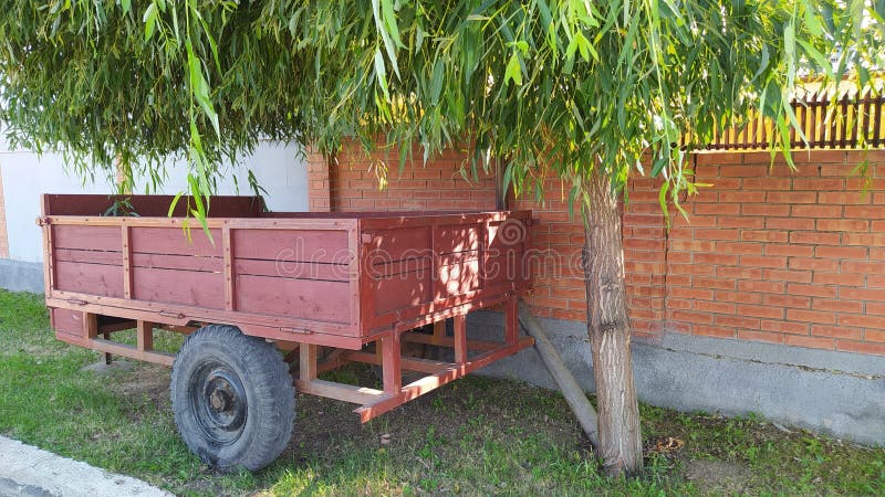 Rustic Red Wagon Positioned Beautifully Under a Large, Shady Tree in ...