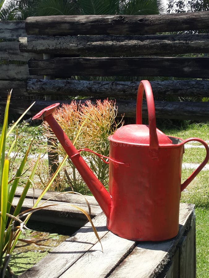 Rustic red watering can stock photo. Image of watering - 48170744