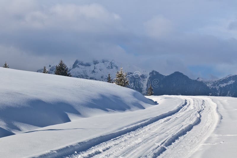 Rustic road in winter stock photo. Image of white, nature - 23191878