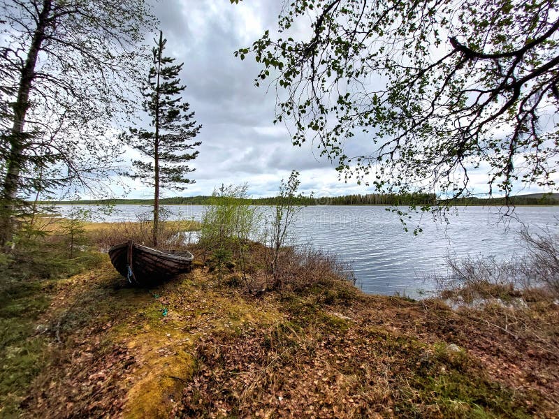 Rustic Rowboat at Lakeside in Northern Sweden Stock Image - Image of ...