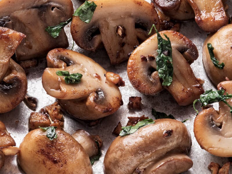 Rustic sauteed mushroom stock photo. Image of rustic - 59803814