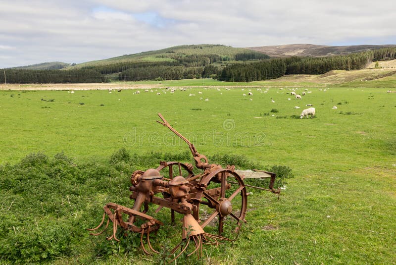 Aged, Rusted Farm Tool in the Scottish Countryside, Amidst a Green ...