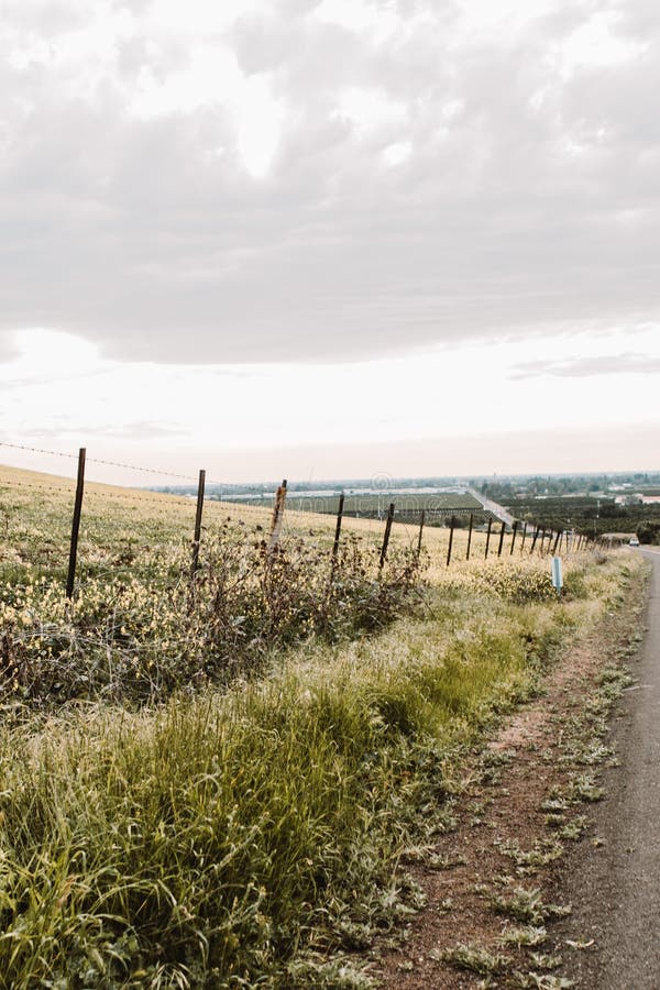 Rustic Scenery Stock Images - Download 32,385 Royalty Free Photos