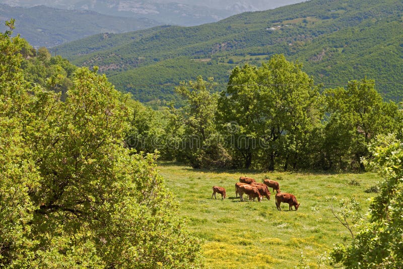 Rustic Scenery at Pindos Mountains in Greece Stock Photo - Image of ...