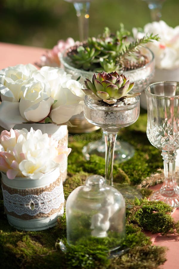 Rustic Wedding Table Setting with Succulents and Moss Stock Image ...